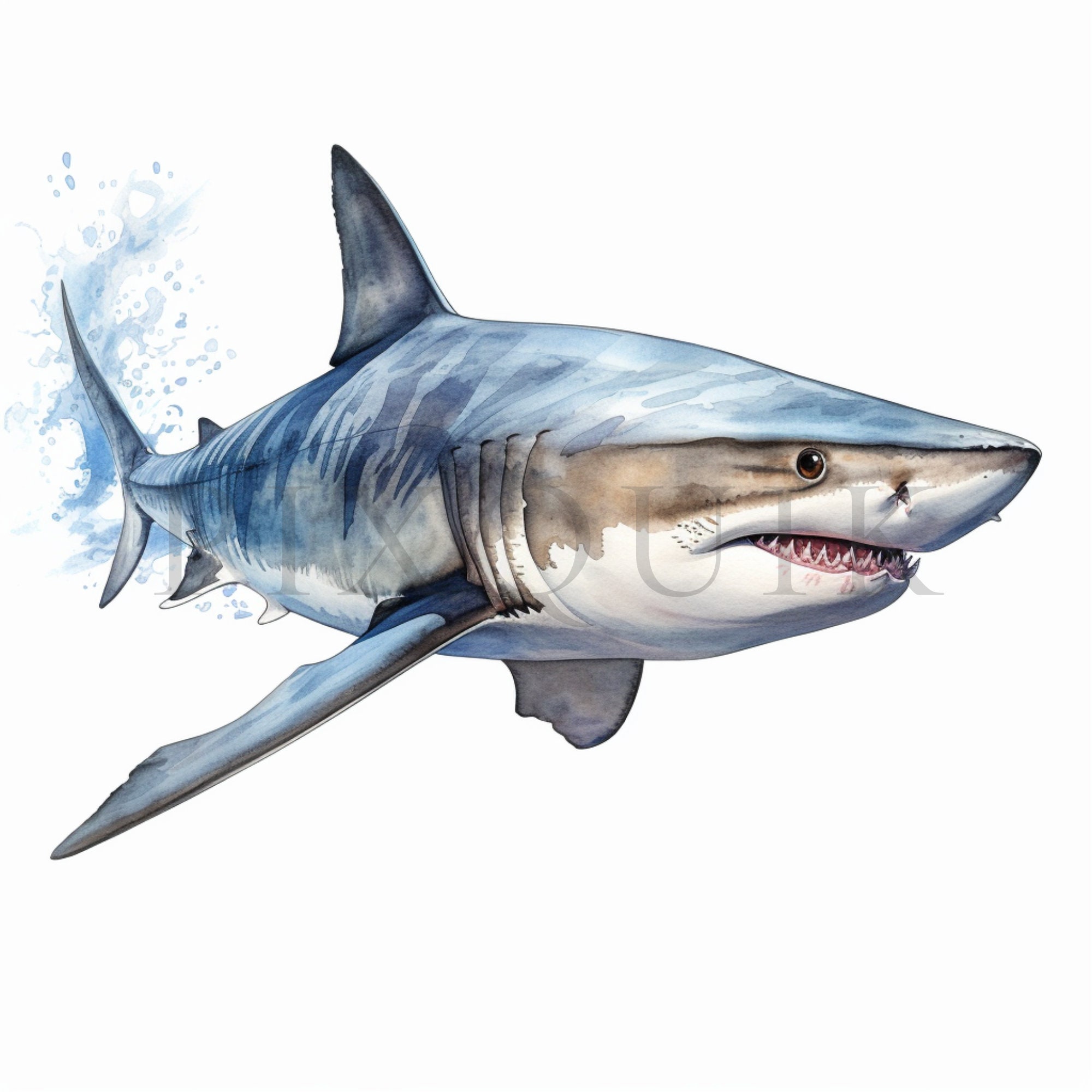 Shark Clipart 10 High Quality Jpgs Watercolor Shark Clipart Whale Shark ...