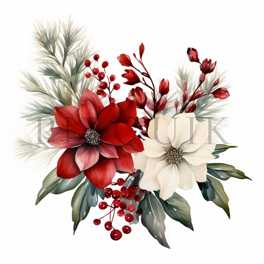Holiday Poinsettia Clipart | Christmas Floral JPG (digital Download) - Etsy