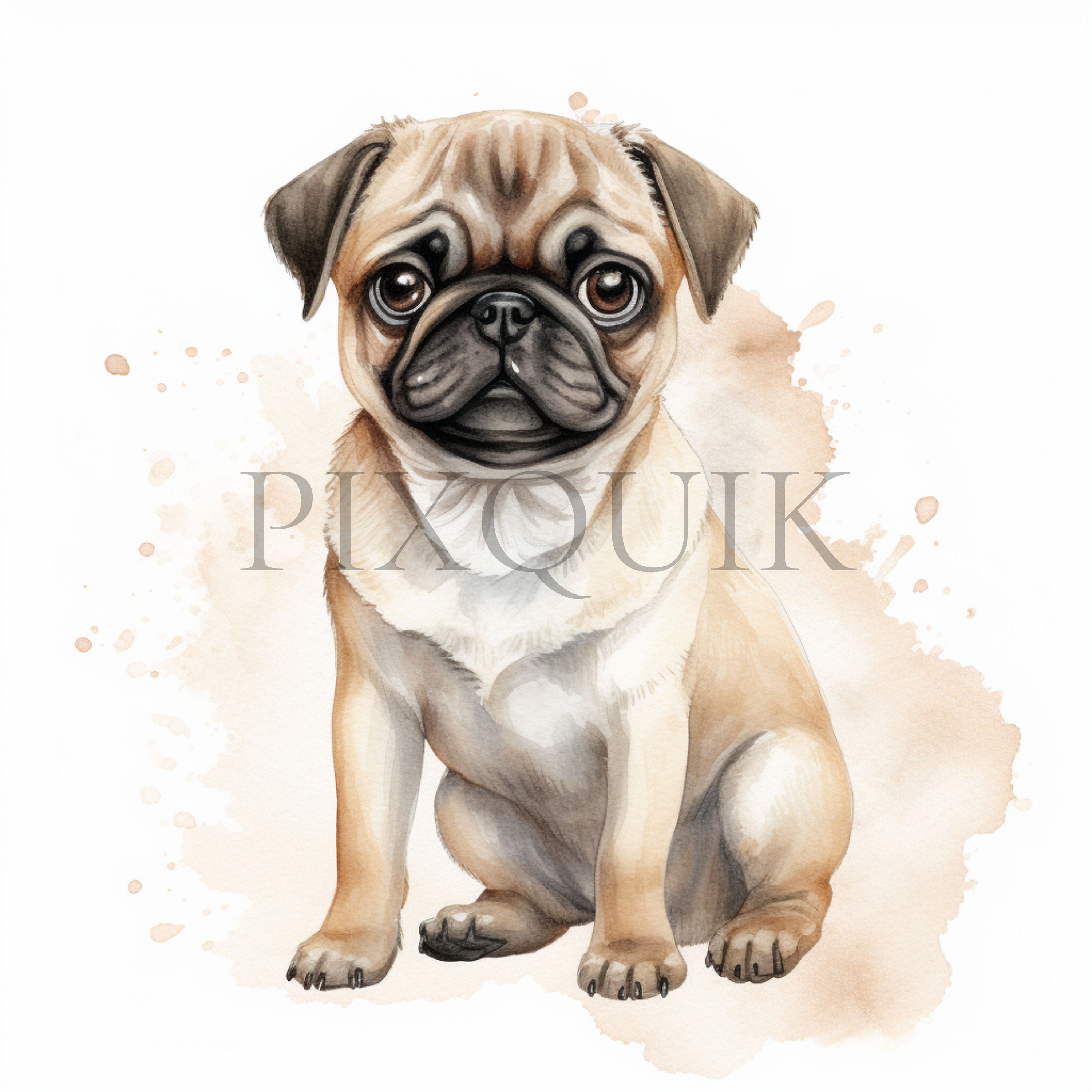 Pug Clipart 10 High Quality Jpgs Puppy Clipart Cute Pug Clipart Digital ...