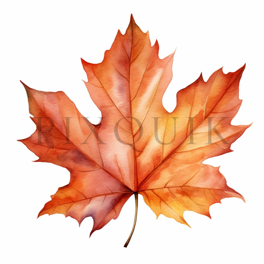 Autumn Leaf Clipart 1 | 10 High Quality Jpgs | Digital Download | Fall ...