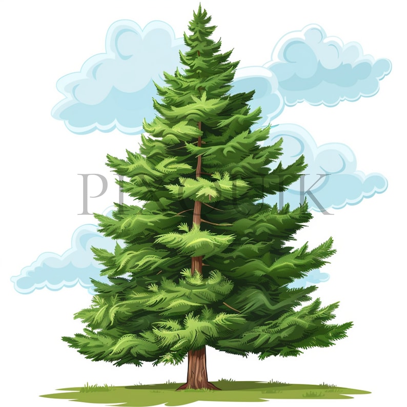 Hemlock Tree Clipart | High-quality Jpgs, Commercial Use (digital ...