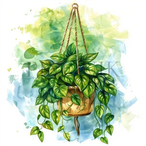 Watercolor Hanging House Plants Clipart | 10 High Quality Jpgs | Retro ...