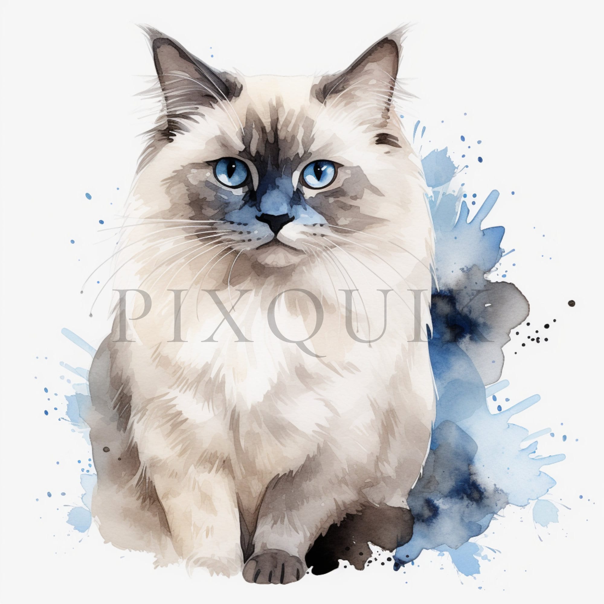 Birman Cat Watercolor Clipart | 10 Jpgs, Commercial Use (digital ...