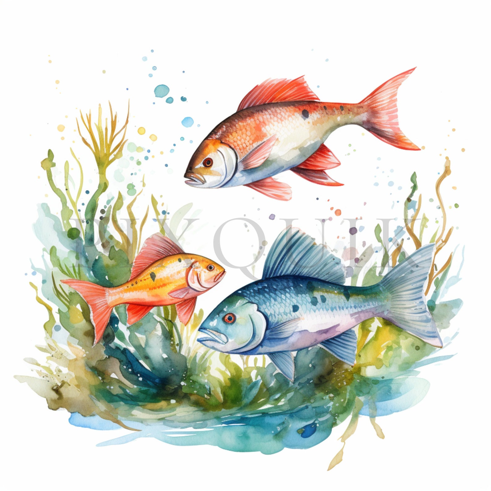 Aquarium Fish Clipart 10 High Quality Jpgs Watercolor Fishing Clipart ...