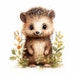 Hedgehog Clipart | Cute Woodland Animal Art (digital Download) - Etsy
