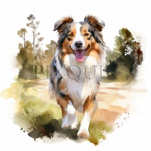 Australian Shepherd Clipart Watercolor Bundle | 10 High Quality Jpgs ...