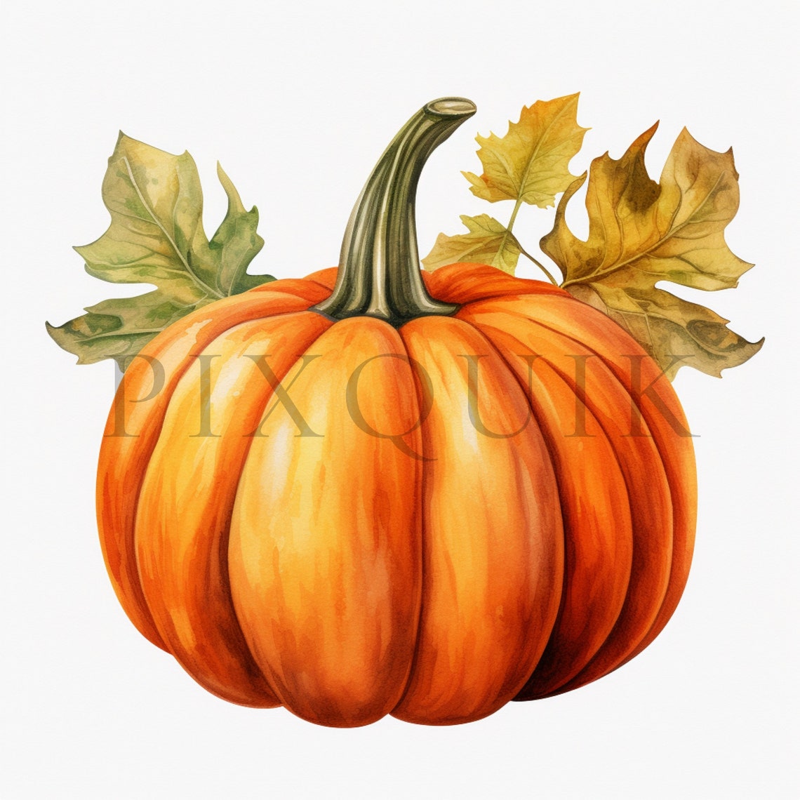Autumn Pumpkin Clipart | Fall Harvest JPG Images (digital Download) - Etsy