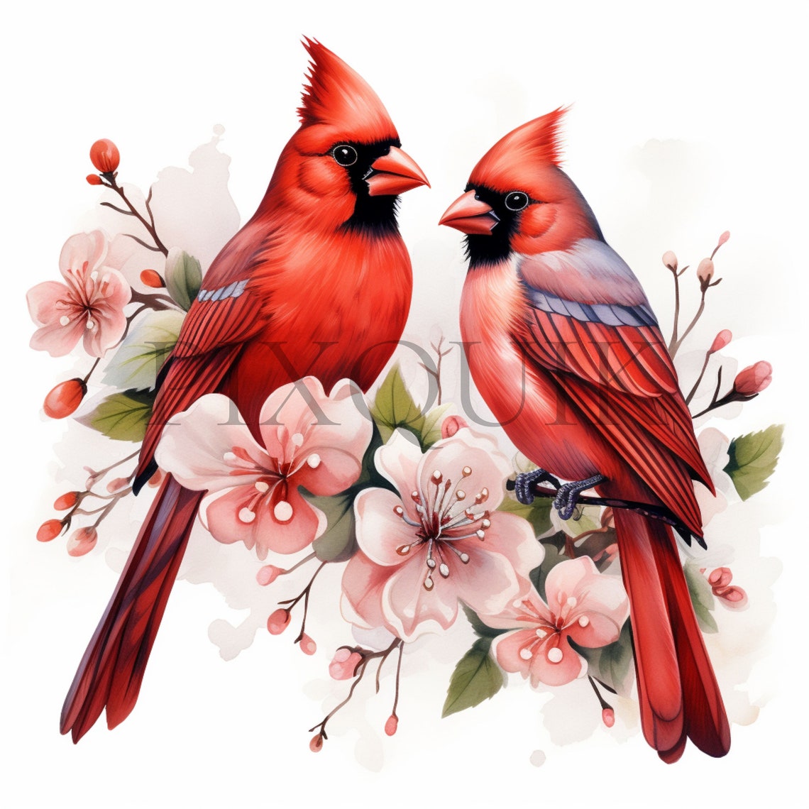 Cardinal Friends Flowers Clipart 10 High Quality Jpgs Commercial Use ...