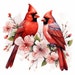Cardinal Friends Flowers Clipart 10 High Quality Jpgs Commercial Use ...
