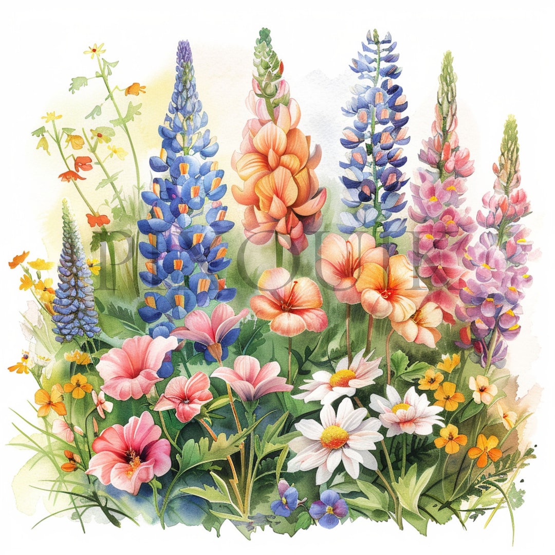 Garden Flower Clip Art | 10 High Quality Jpgs | Wild Flowers | Floral ...