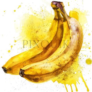 Watercolor Banana Clipart | Tropical Fruit Illustration (instant ...