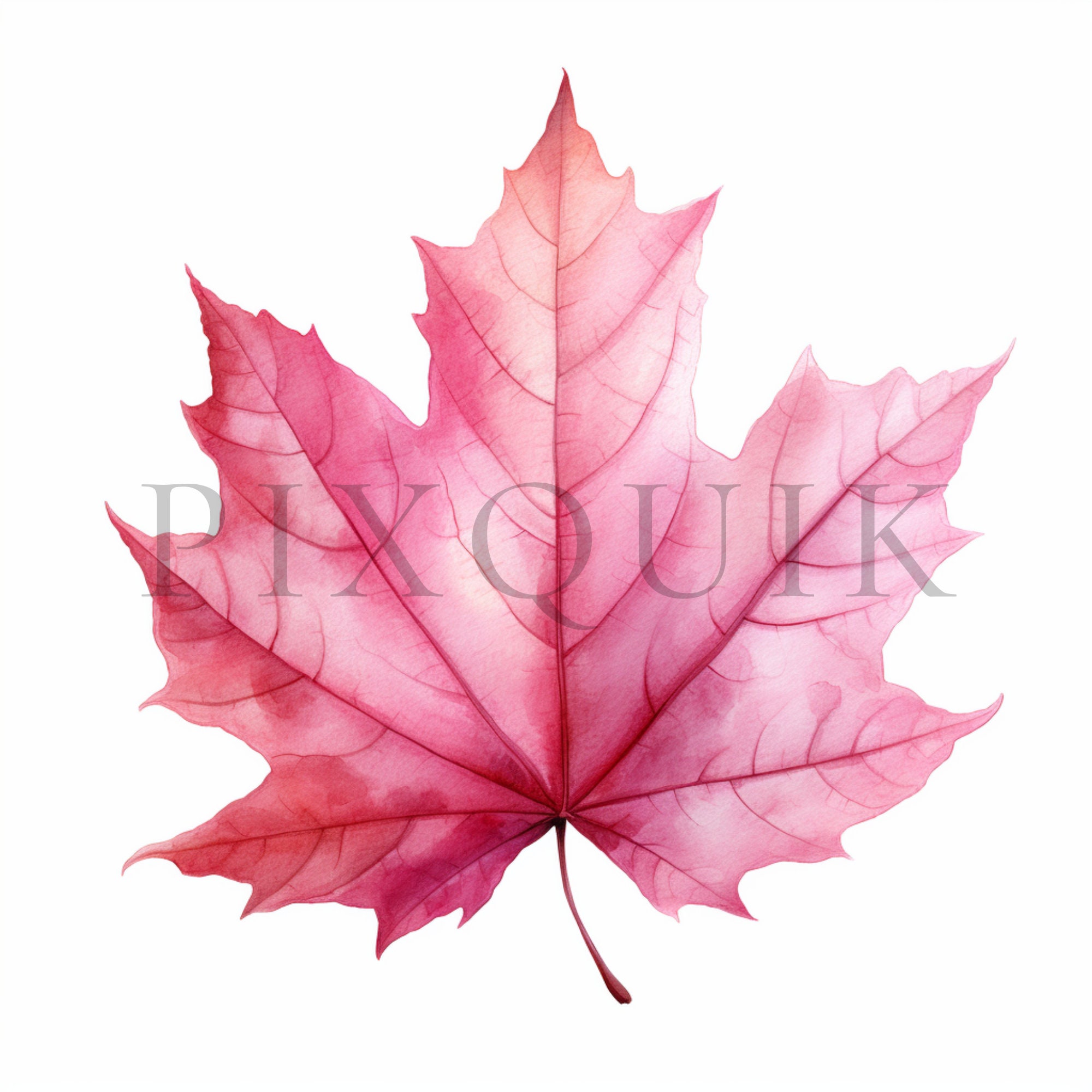 Pink Watercolor Fall Leaves Clipart | Autumn Jpgs (digital Download) - Etsy