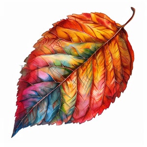 Fall Leaf Clipart | 10 Quality Jpgs | Digital Download | Digital Paper ...