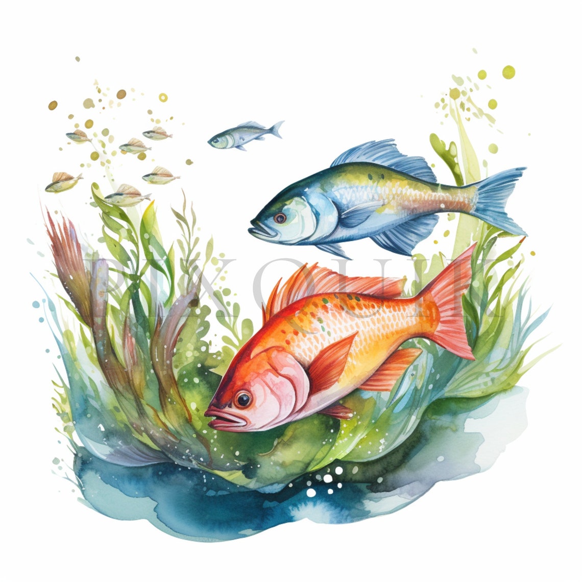 Aquarium Fish Clipart 10 High Quality Jpgs Watercolor Fishing Clipart ...