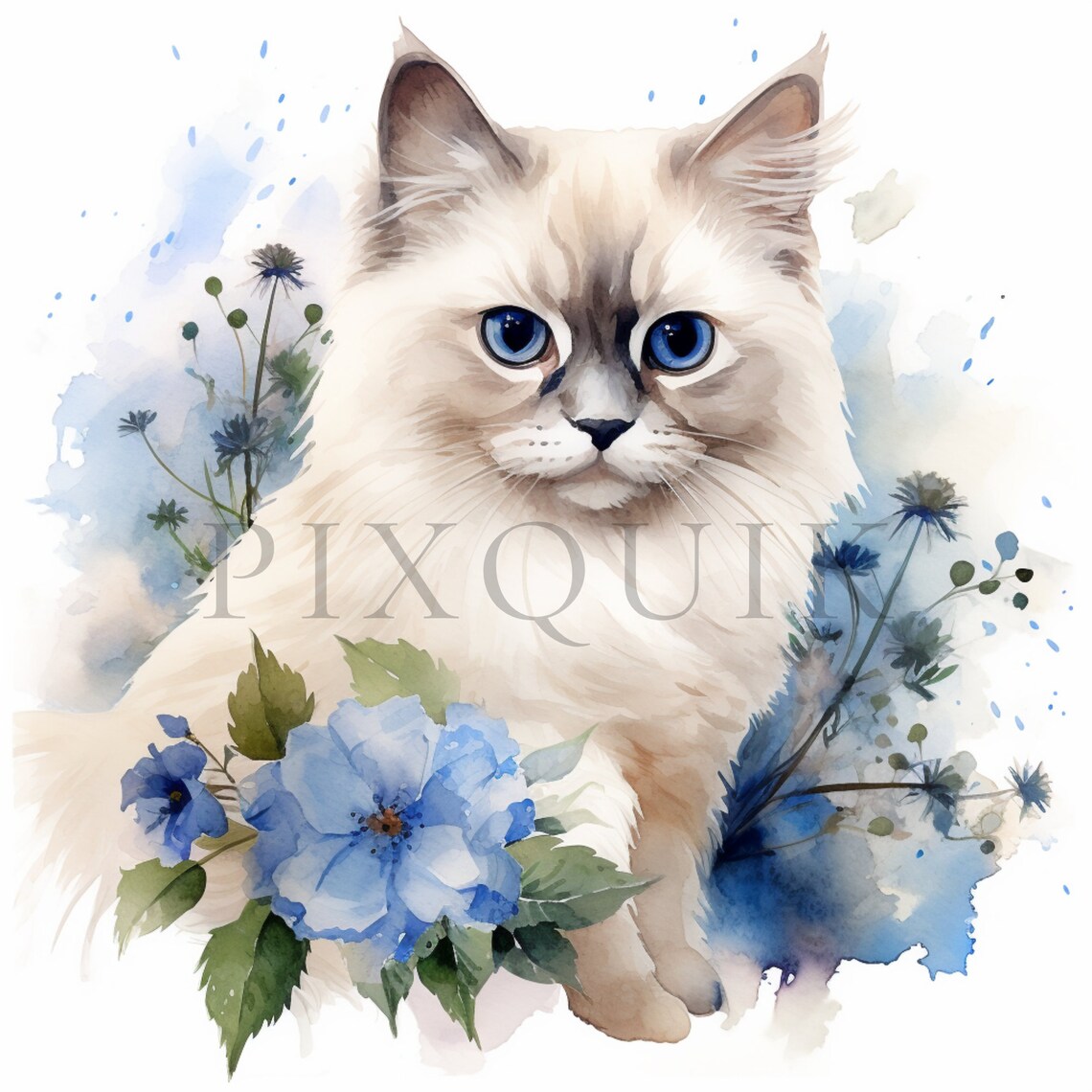 Birman Cat Watercolor Clipart | 10 Jpgs, Commercial Use (digital ...