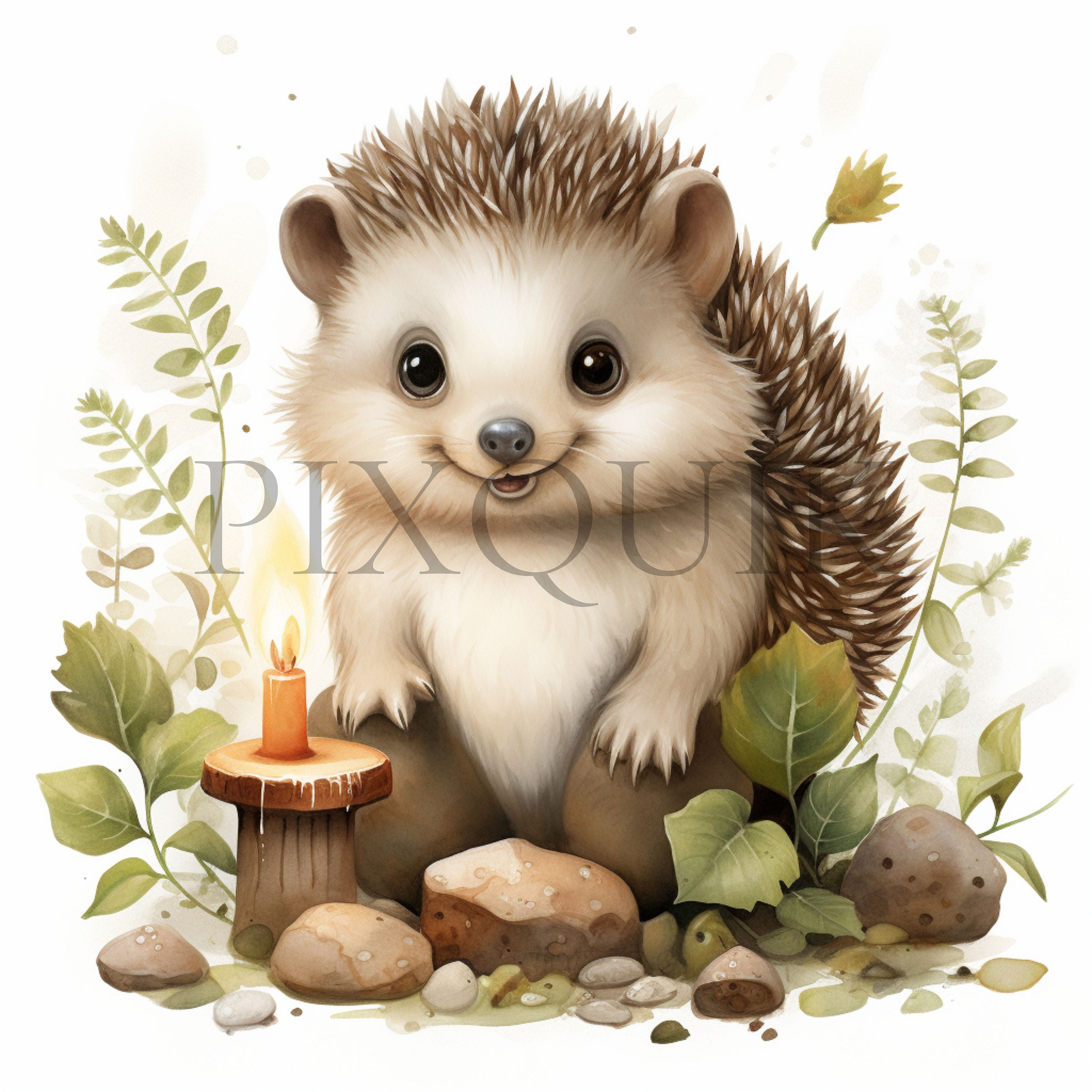 Hedgehog Clipart Woodland Animal Clipart 10 High Quality JPG Cute ...