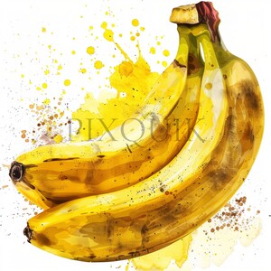 Watercolor Banana Clipart | Tropical Fruit Illustration (instant ...