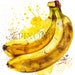Watercolor Banana Clipart | Tropical Fruit Illustration (instant ...
