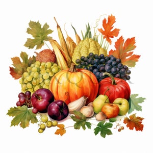 Autumn Harvest Clipart | Pumpkin, Corn, Grapes (digital Download) - Etsy