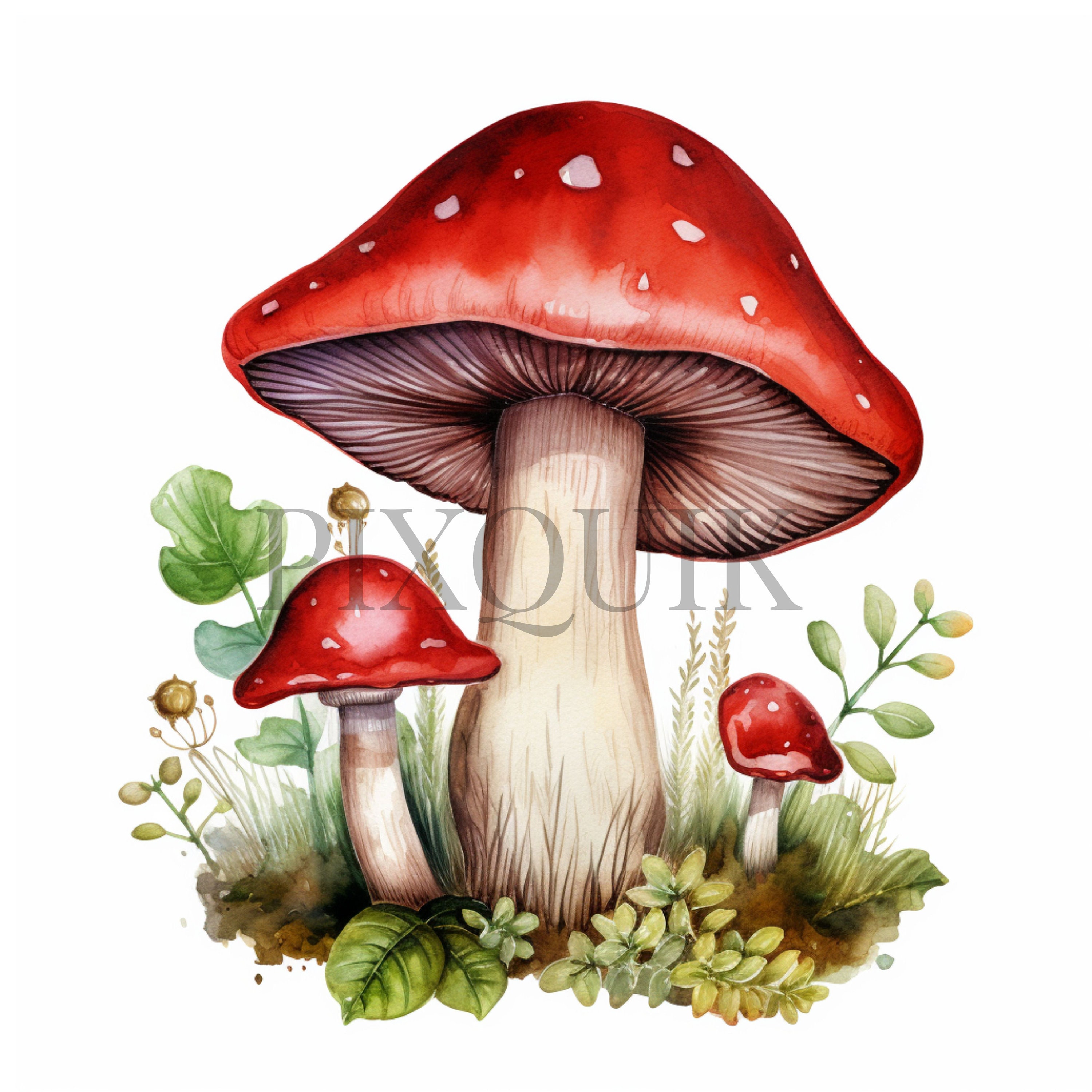 Watercolor Mushroom Clipart – Nature Illustration, Jpgs (digital ...