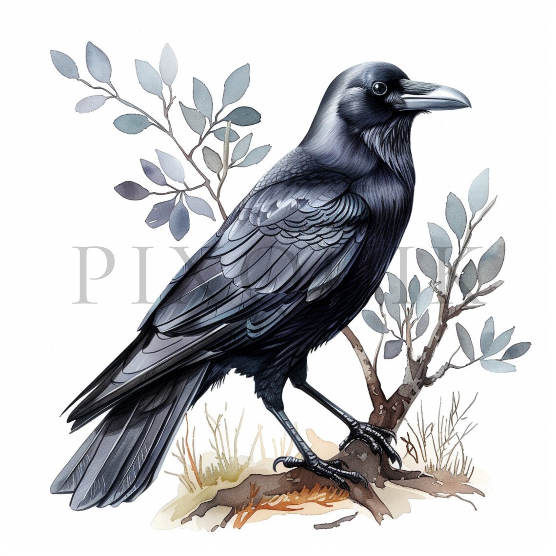 Crow Clipart 10 High Quality Jpgs Digital Download Card Making Bird ...