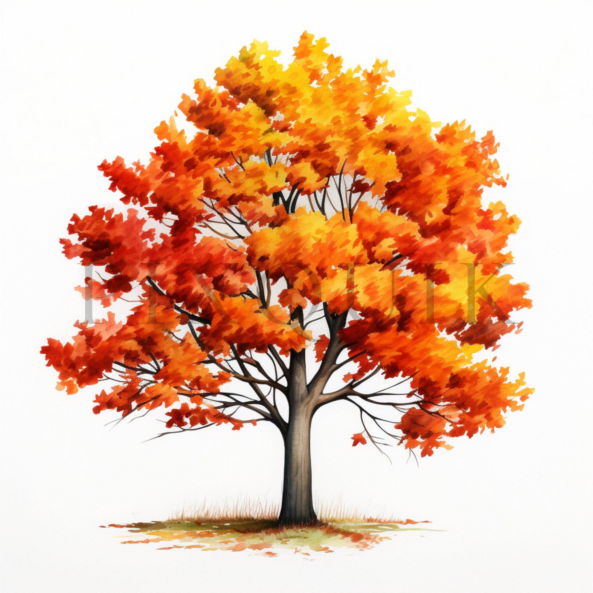 Fall Tree Clipart 10 High Quality Jpgs Digital Download Maple Tree ...