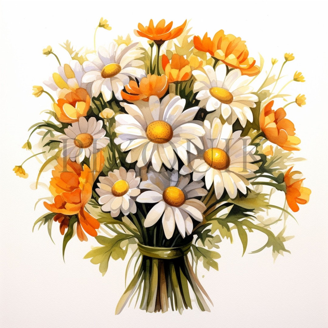 Bouquet of Daisies Clipart Set | 10 High Quality Jpgs | Daisy Flower ...