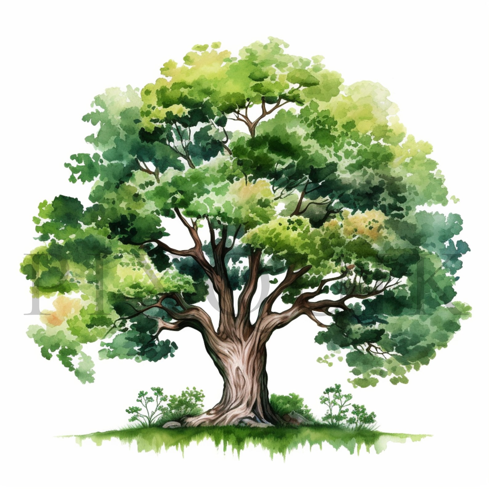 Watercolor Tree Clipart 13 High Quality Jpgs Digital Download ...