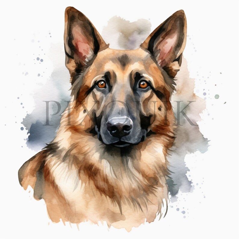 Watercolor German Shepherd Clipart 10 High Quality Jpgs Instant Digital ...