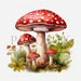 Mushroom Watercolor Clipart | Toadstool Jpgs (digital Download) - Etsy