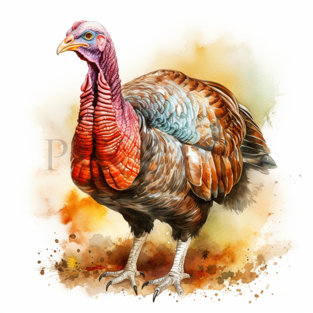 Turkey Clipart - 10 High Quality Jpgs | Turkey Cut File | Turkey ...
