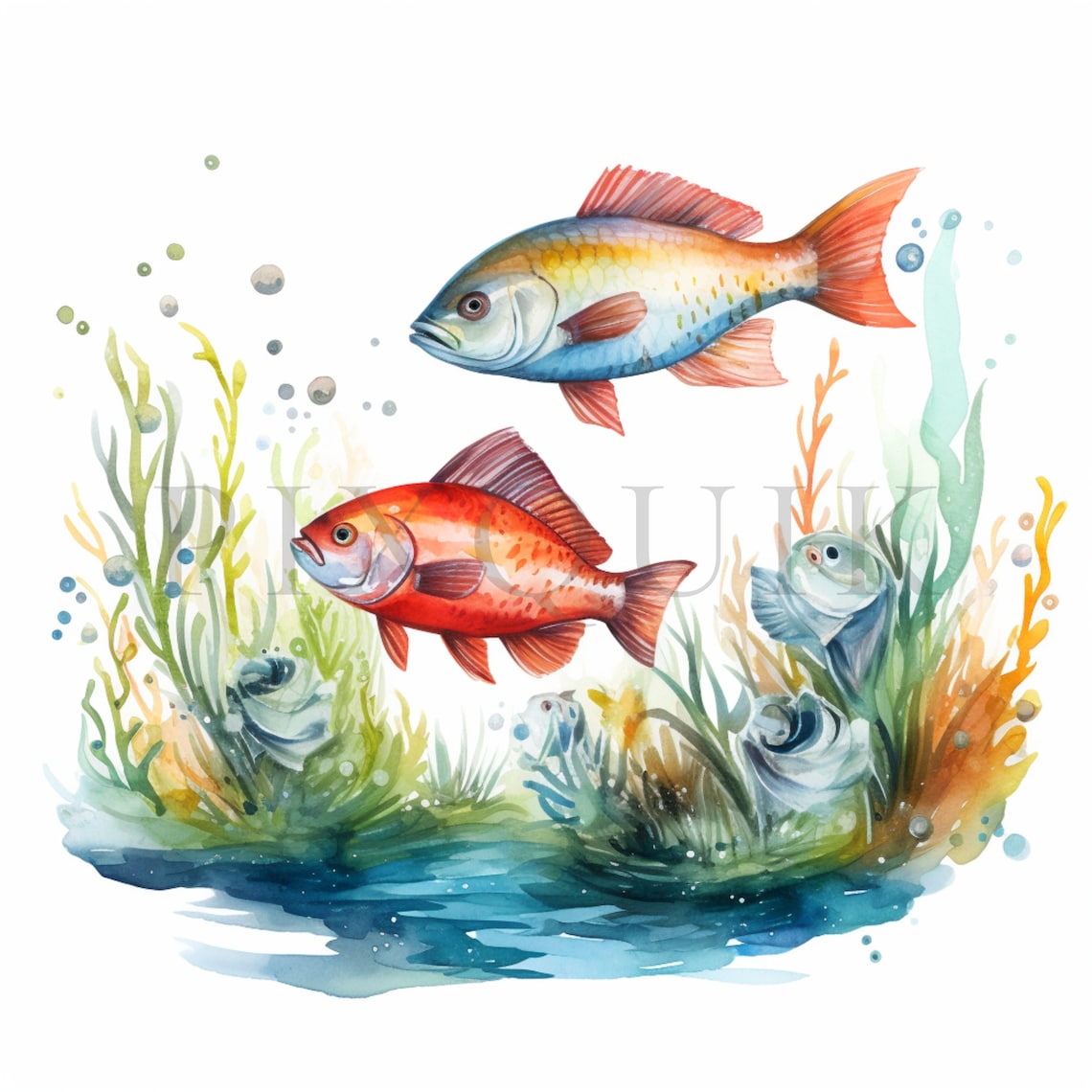 Aquarium Fish Clipart 10 High Quality Jpgs Watercolor Fishing Clipart ...