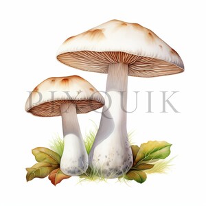 Watercolor Mushroom Clipart | 10 High Quality Jpgs | Instant Digital ...