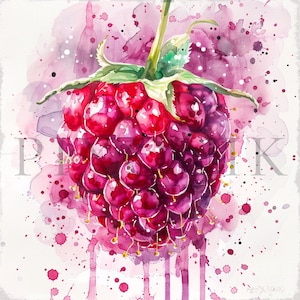 Watercolor Raspberry Clipart | High-resolution Jpgs (digital Download ...