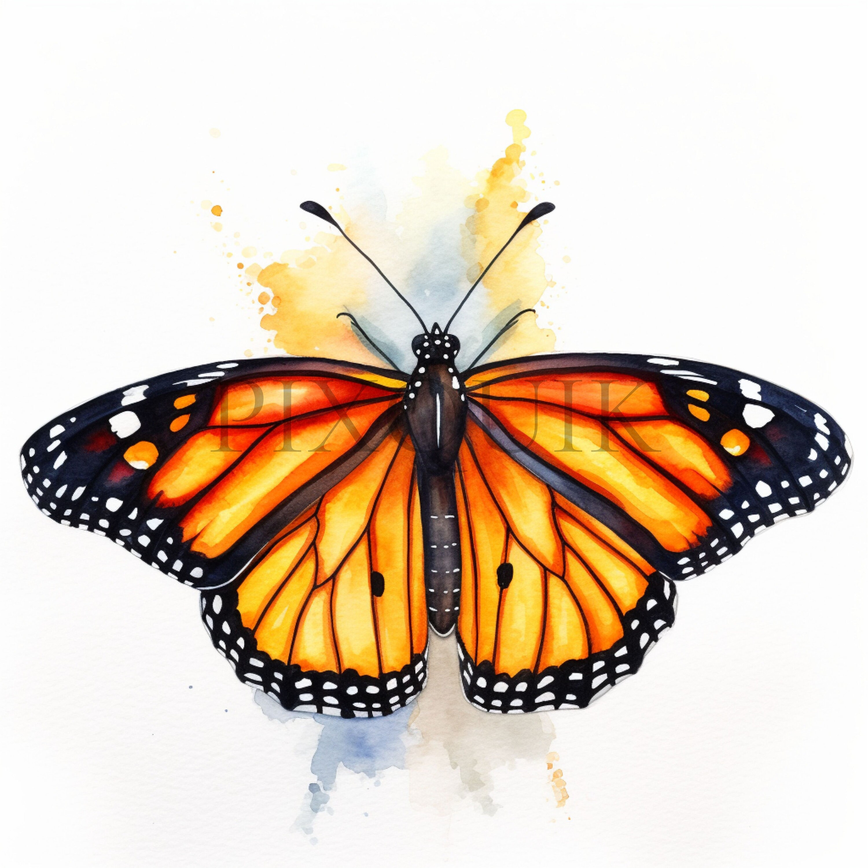 Watercolor Monarch Clipart | 10 High Quality Jpgs | Monarch Butterfly ...