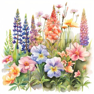 Wildflower Clipart Set | Botanical Garden Illustrations (10 Jpgs) - Etsy