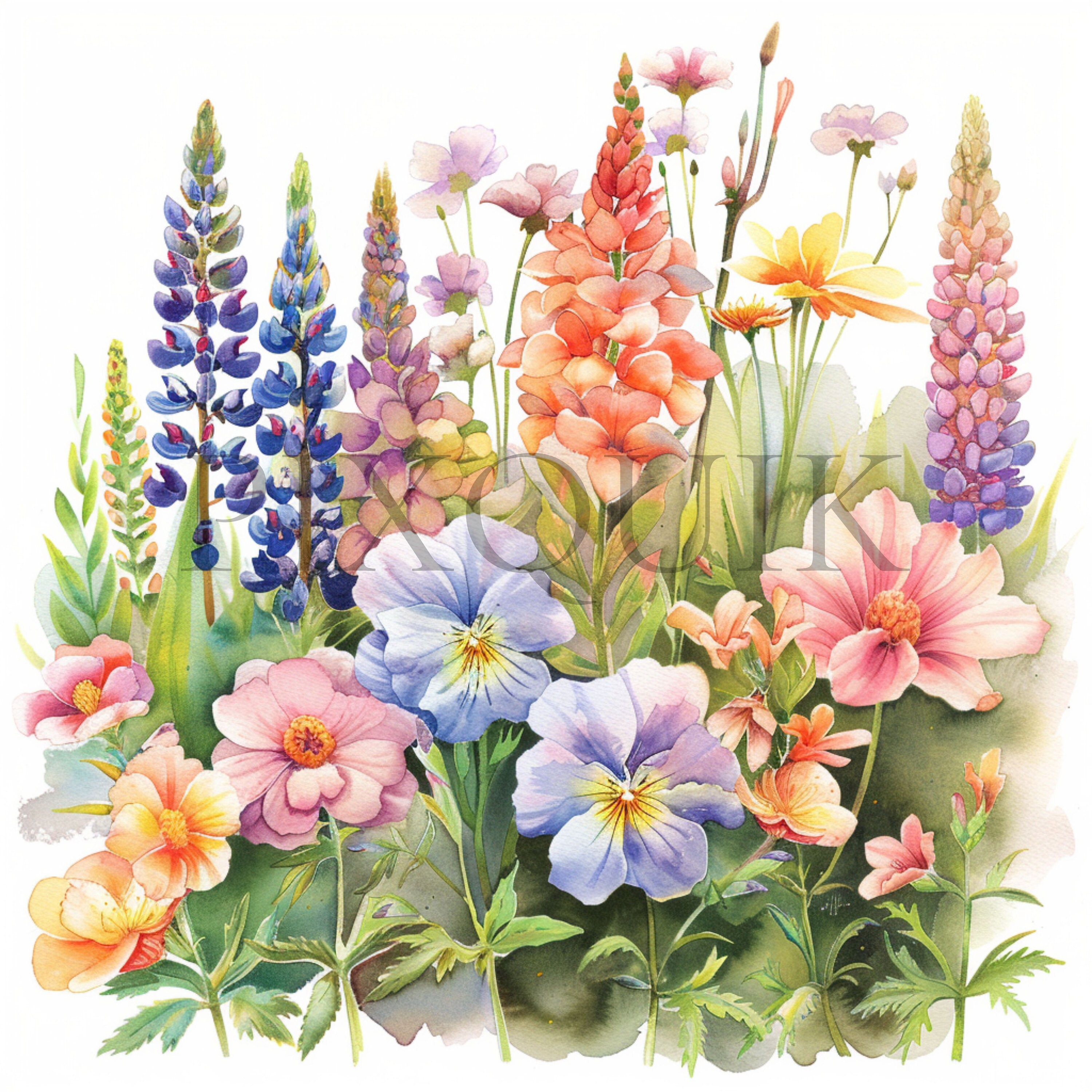 Wildflower Clipart Set | Botanical Garden Illustrations (10 Jpgs) - Etsy