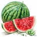 Watercolor Watermelon Clipart | Summer Fruit Jpgs (instant Download) - Etsy