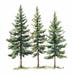 Watercolor Pine Tree Clipart: Nature Illustration (47 JPG Files) - Etsy