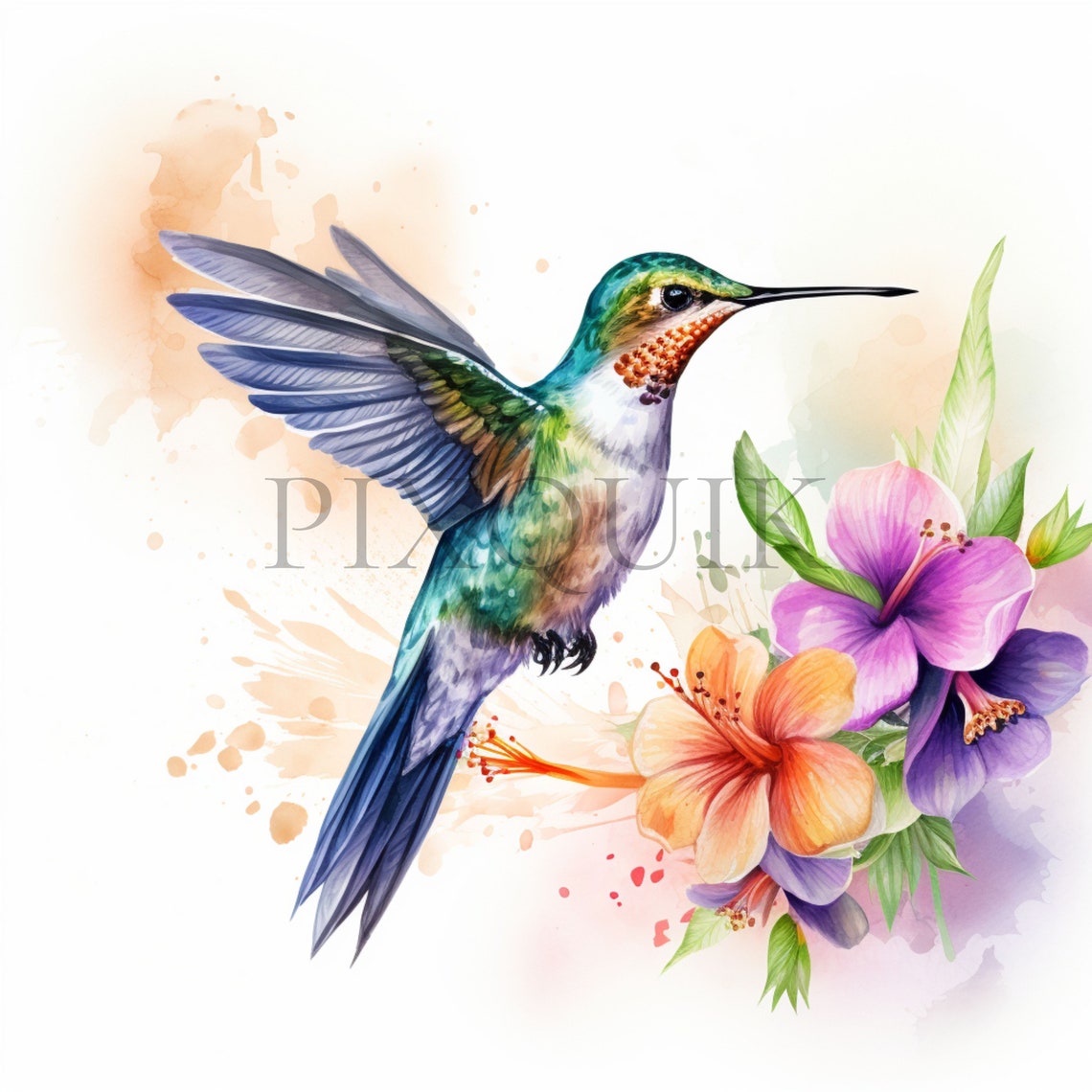 Watercolor Hummingbird Clipart Bundle 10 High Quality Jpgs Bird Clipart ...