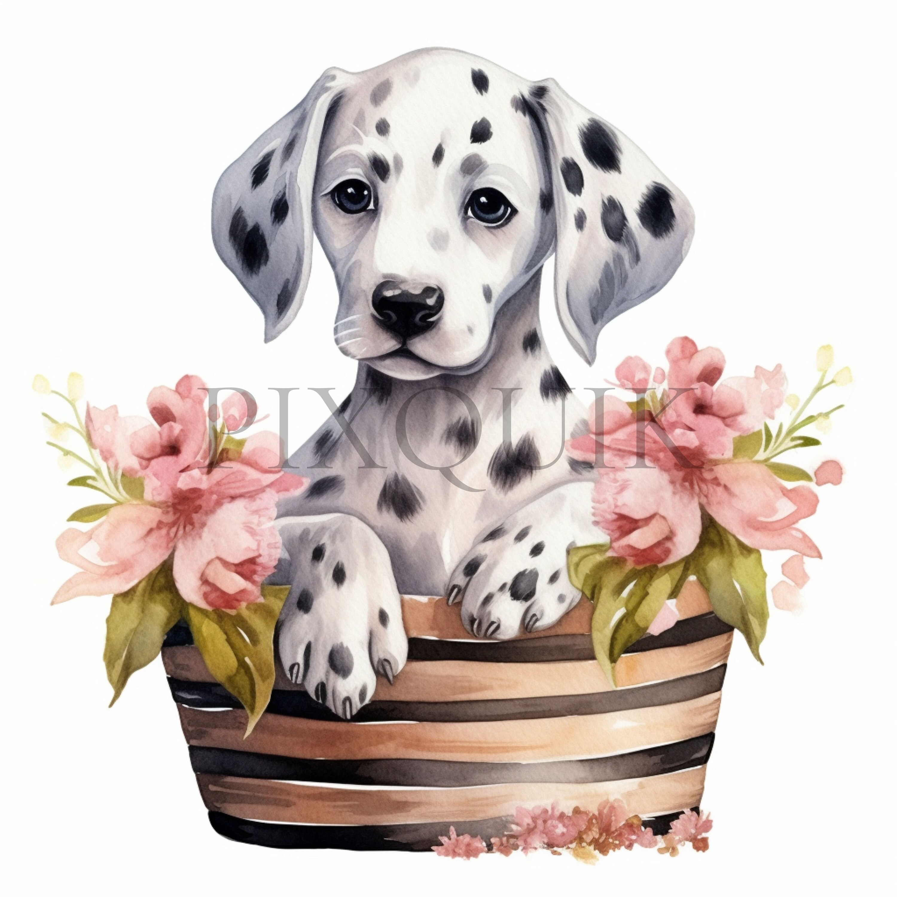 Dalmatian Clipart 10 High Quality Jpgs nursery Art, Digital Download ...