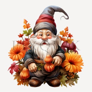 Thanksgiving Gnome Clipart | Fall Gnomes Jpgs (digital Download) - Etsy