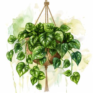Watercolor Hanging House Plants Clipart | 10 High Quality Jpgs | Retro ...