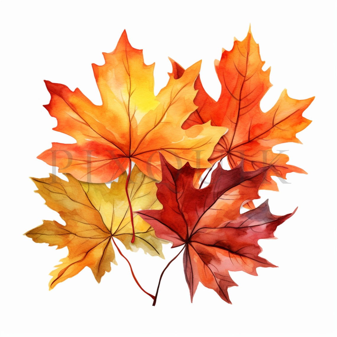 Autumn Leaves Clipart 10 High Quality Jpgs Digital Download Autumn ...