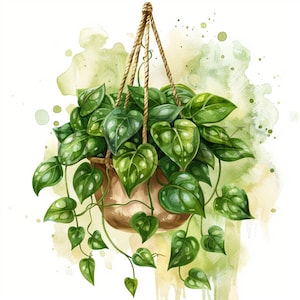 Watercolor Hanging House Plants Clipart | 10 High Quality Jpgs | Retro ...