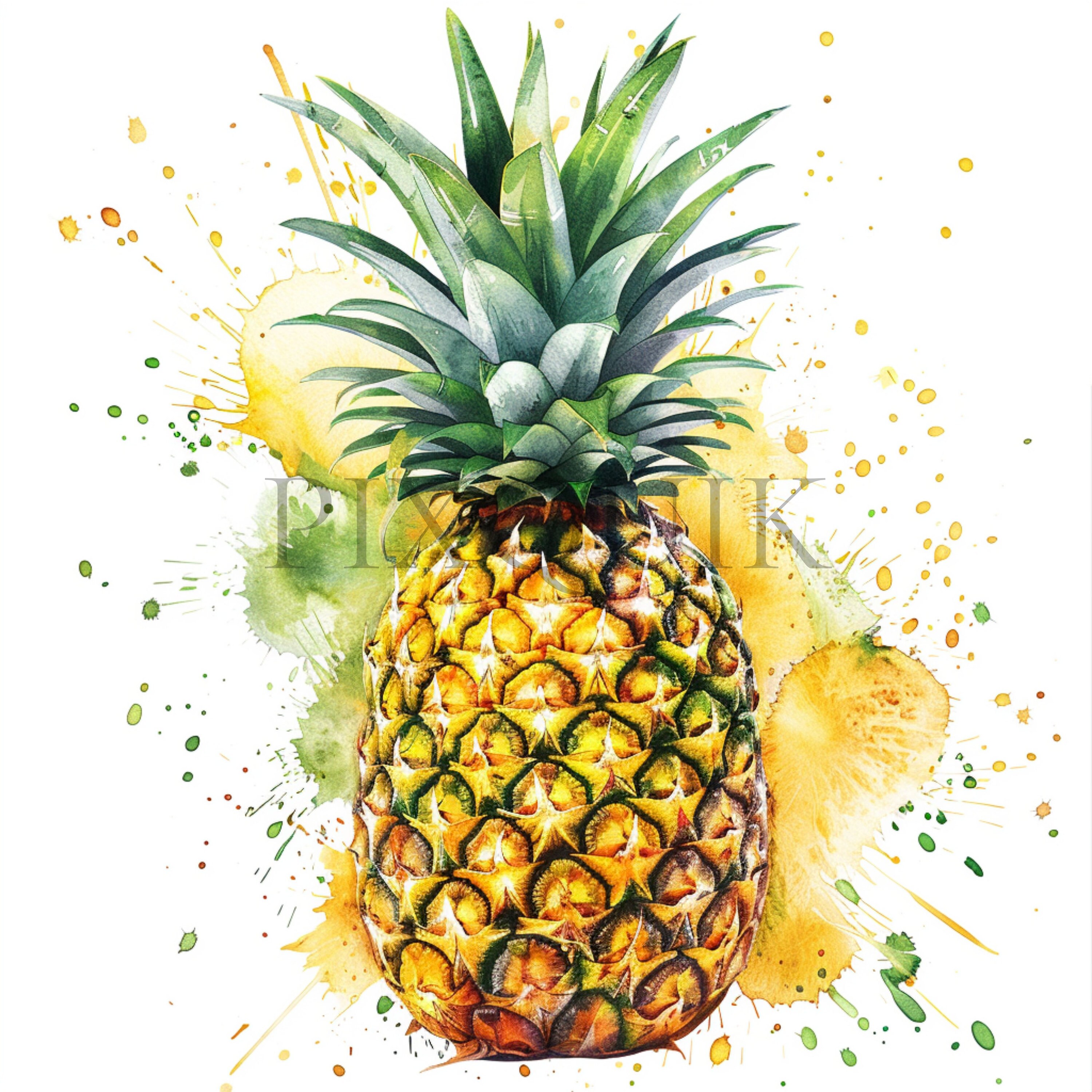 Watercolor Pineapple Clipart 10 High Quality Jpgs fruit Clipart ...