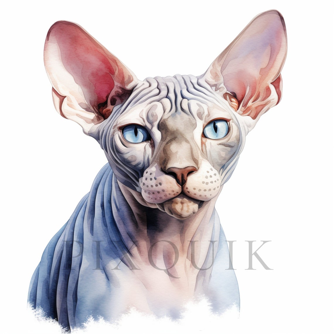 Watercolor Sphynx Cat Clipart 10 High Quality Jpgs Digital Download ...