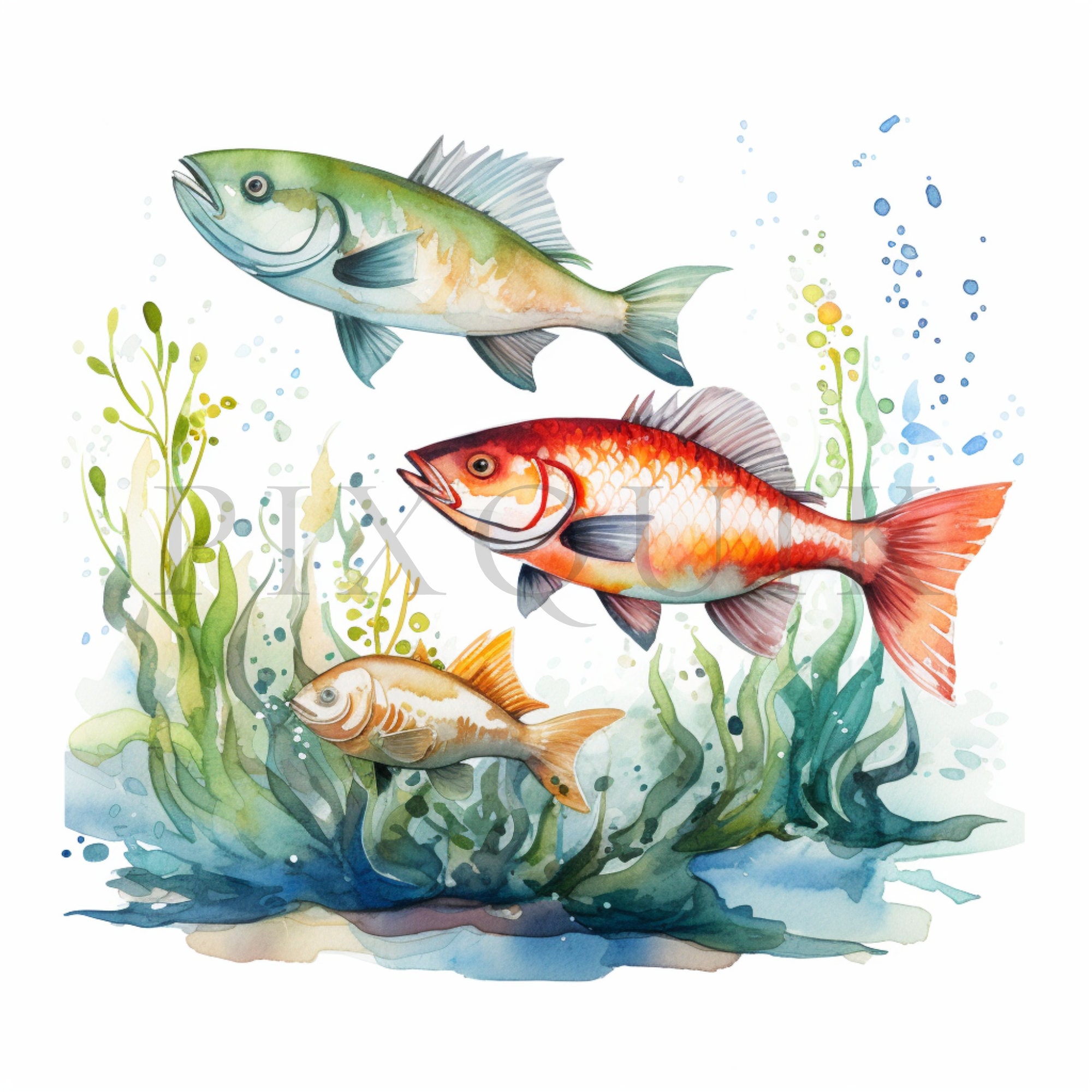 Aquarium Fish Clipart 10 High Quality Jpgs Watercolor Fishing Clipart ...
