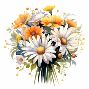 Bouquet of Daisies Clipart Set 10 High Quality Jpgs Daisy Flower Art ...