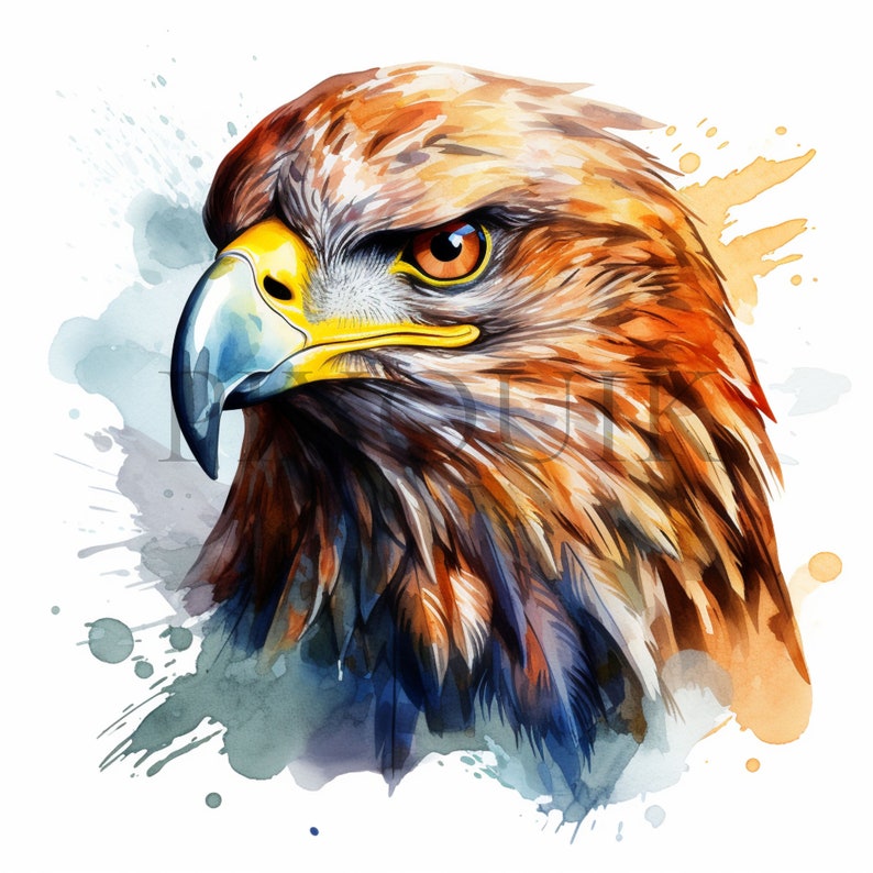 Watercolor Eagle Clipart | High-quality Jpgs, Animal Graphics (digital ...